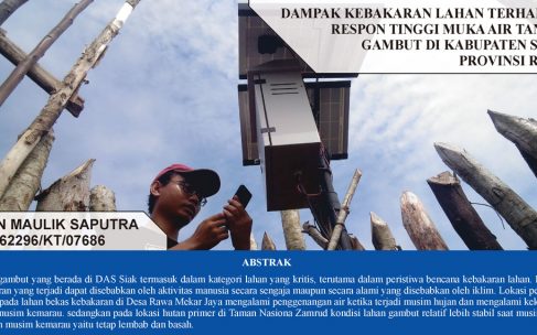 Dampak Kebakaran Lahan Terhadap Respon Tinggi Muka Air Tanah Gambut di ...